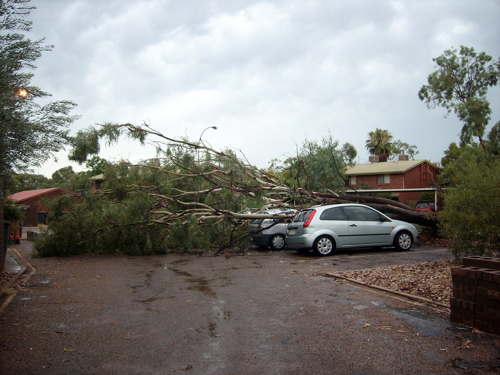 Cyclone Hazard Briefing Session | City of Darwin | Darwin Council ...