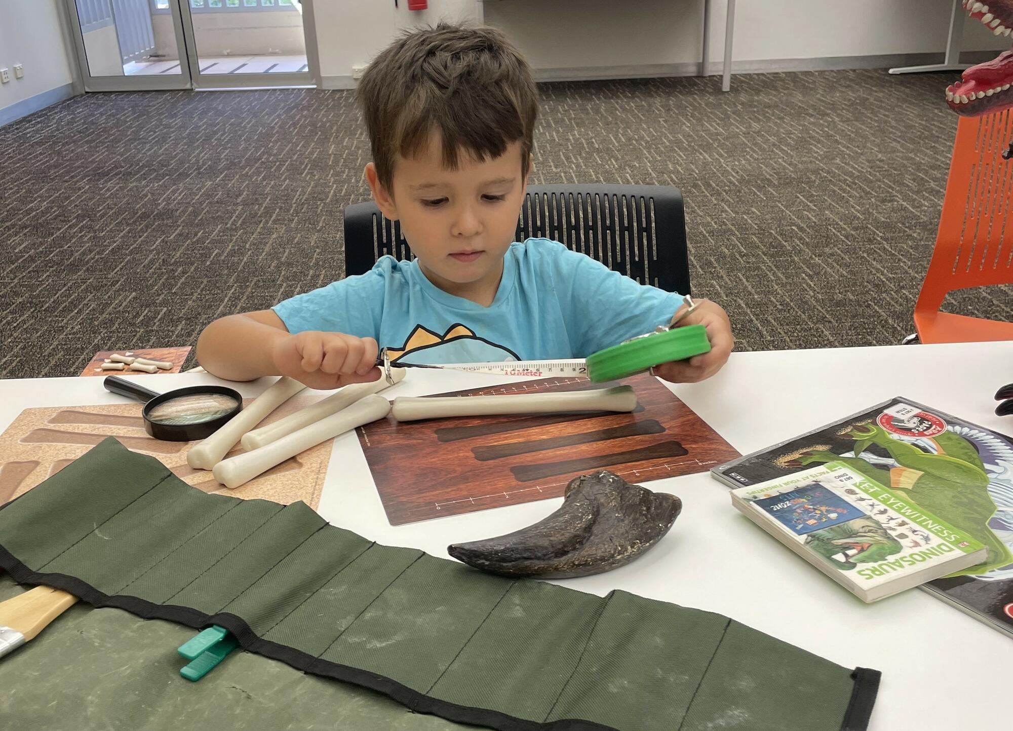 Science Week STEAM Zone Fossils and Bones @ Casuarina Library | City of ...