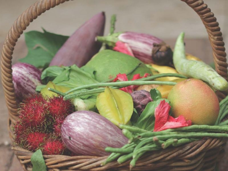 Darwin Food Gardeners Diary Launch | City of Darwin | Darwin Council ...