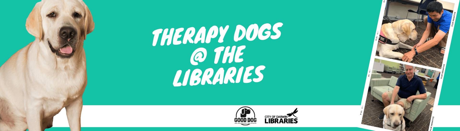 Therapy Dogs @ Casuarina Library | City of Darwin | Darwin Council ...