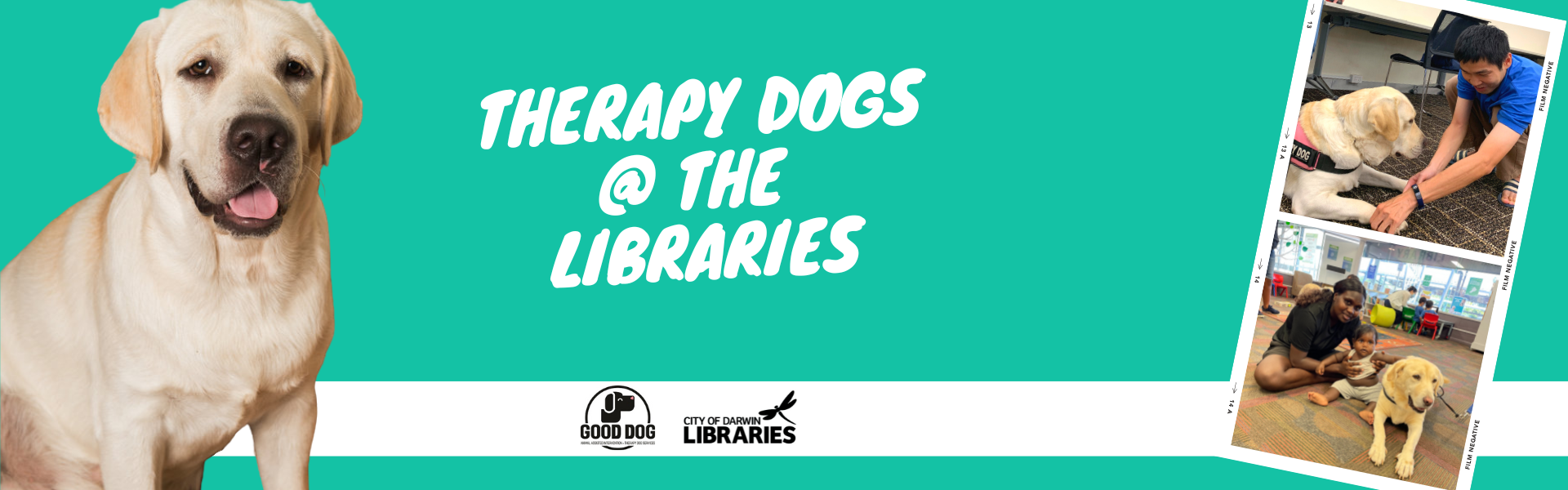 Therapy Dogs @ Casuarina Library | City of Darwin | Darwin Council ...