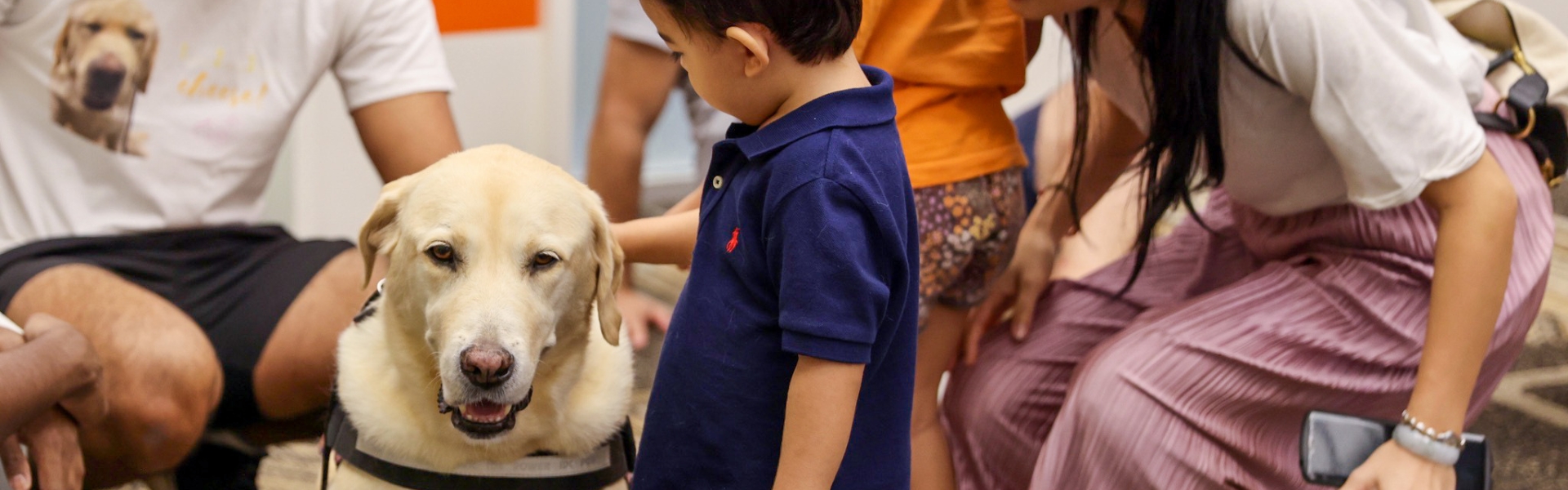 Therapy Dogs @ Casuarina Library | City of Darwin | Darwin Council ...