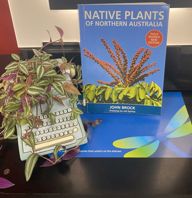 City of Darwin | Darwin Council, Northern Territory