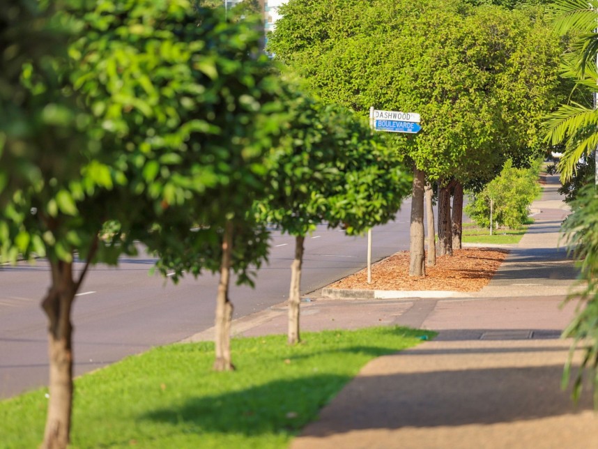 Daly Street Beautification | City of Darwin | Darwin Council, Northern ...