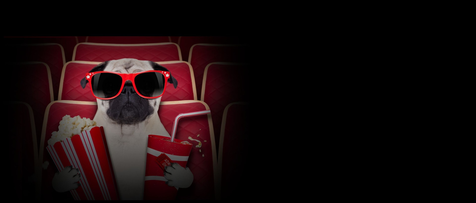 Libraries | City of Darwin | Darwin Council, Northern Territory