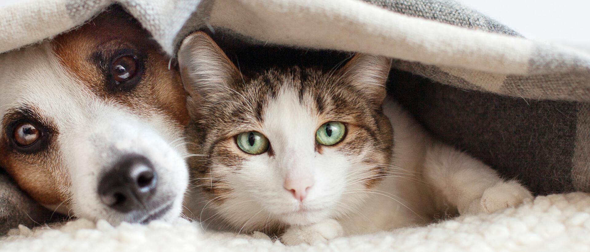 Libraries | City of Darwin | Darwin Council, Northern Territory