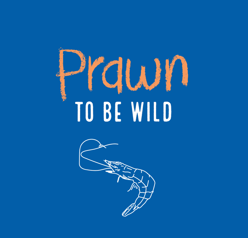 Prawn to Be Wild: a science treasure hunt | City of Darwin | Darwin ...