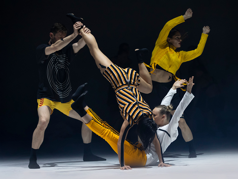 SYDNEY DANCE COMPANY – ASCENT | City of Darwin | Darwin Council ...