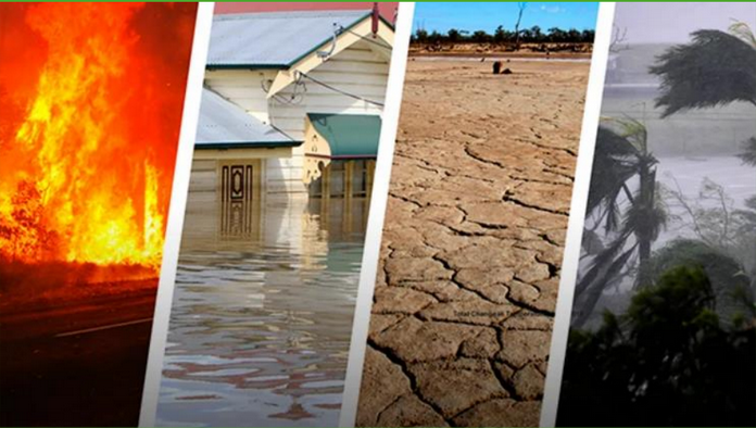 Darwin / Garramilla Climate Cafe | City of Darwin | Darwin Council ...